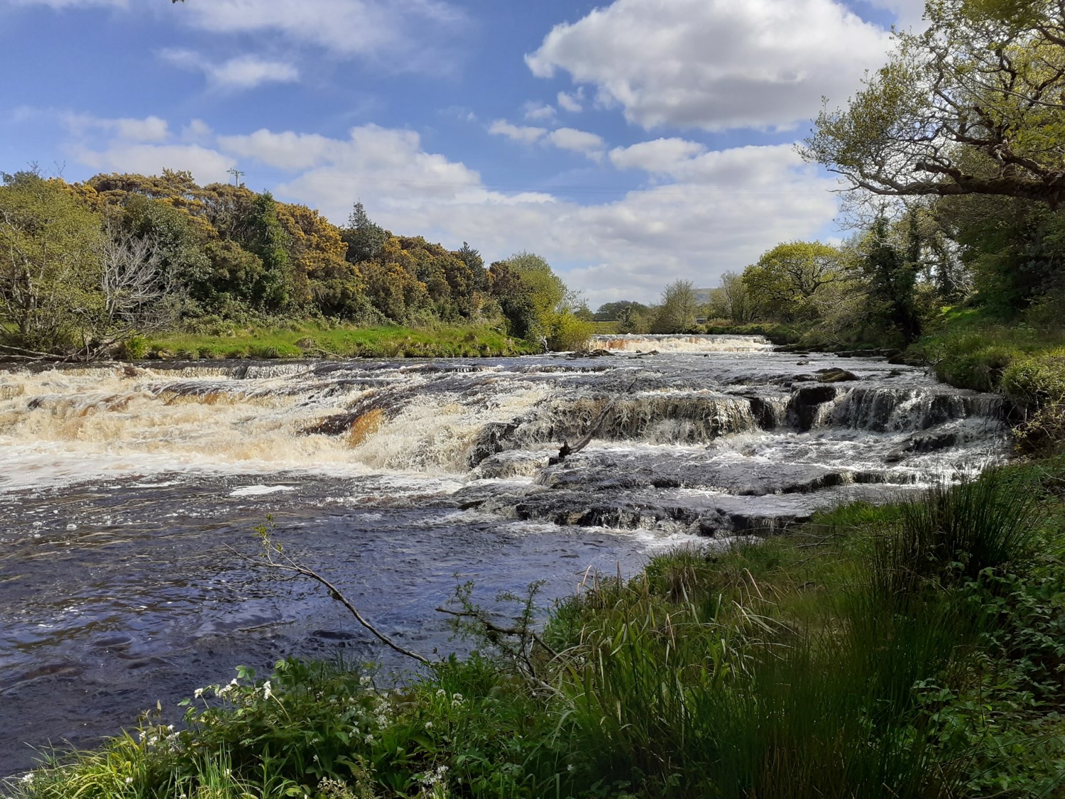 High Status Objective Water Bodies - Waters of Life