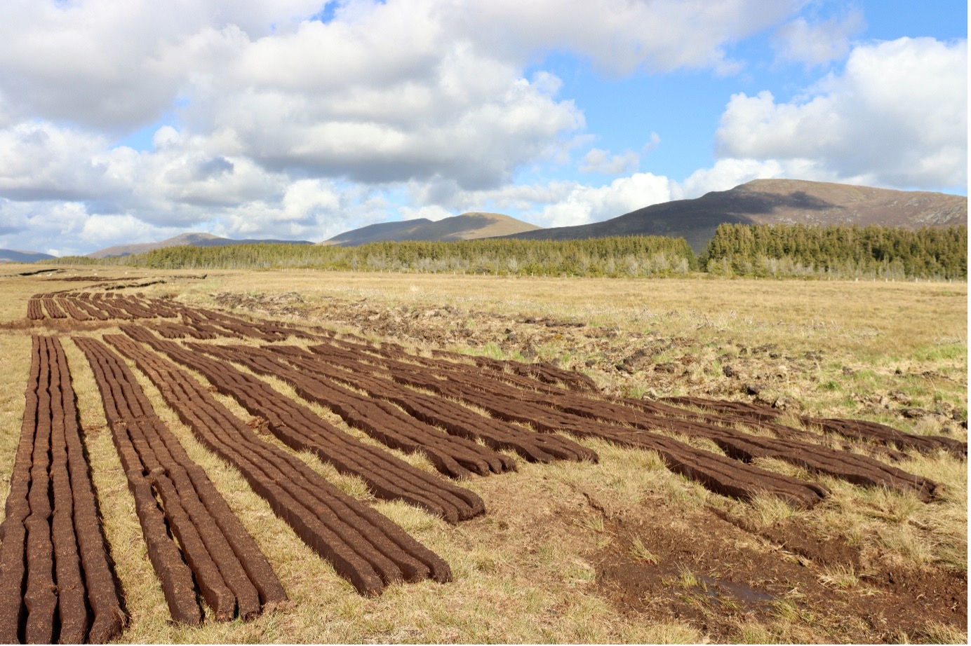 Peat extraction - Waters of Life