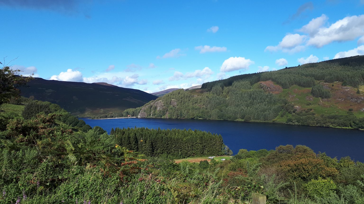 Avonmore Demonstration Catchment Desk Study Published - Waters of Life