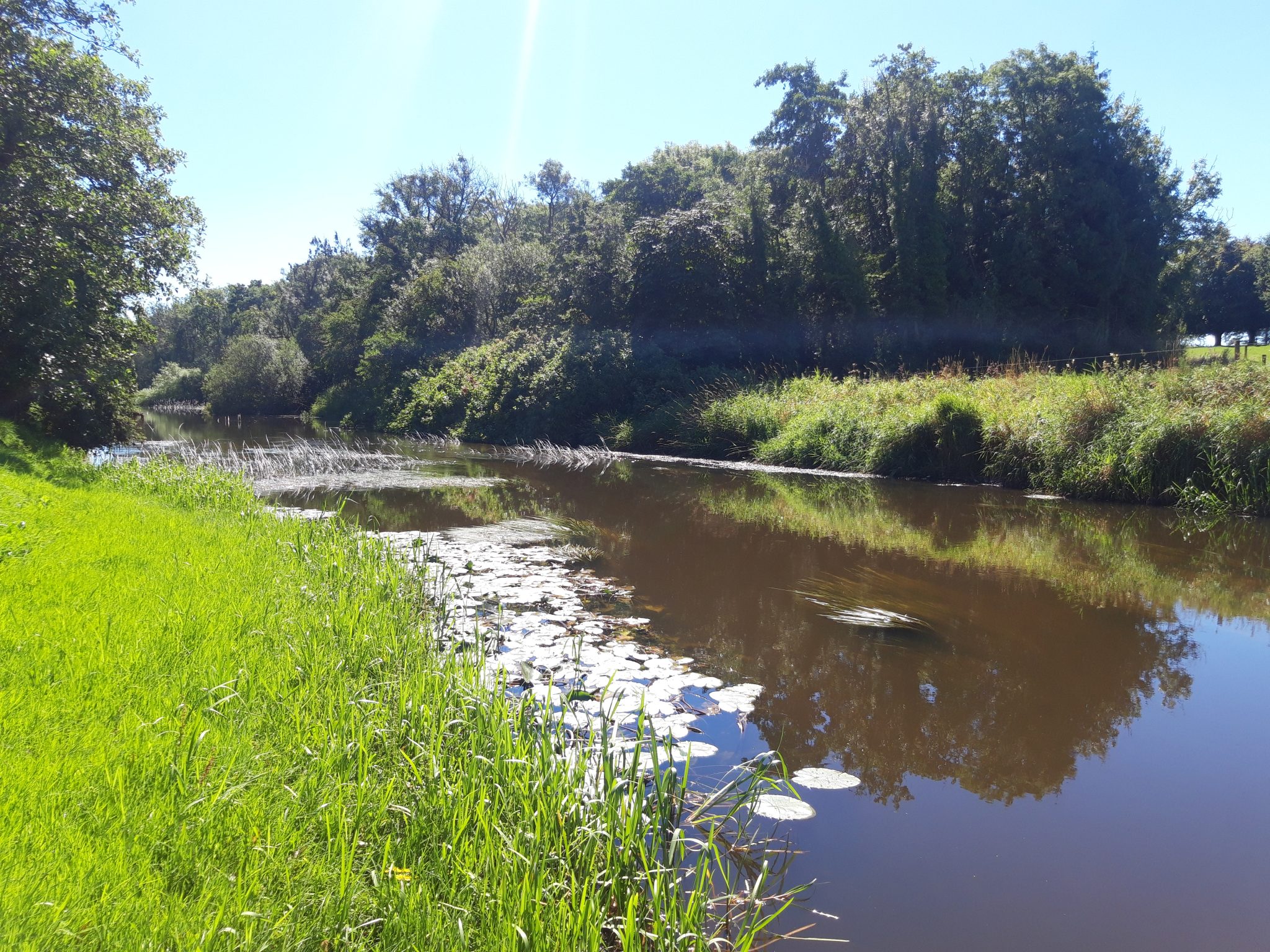 Islands Demonstration Catchment Desk Study Published - Waters of Life